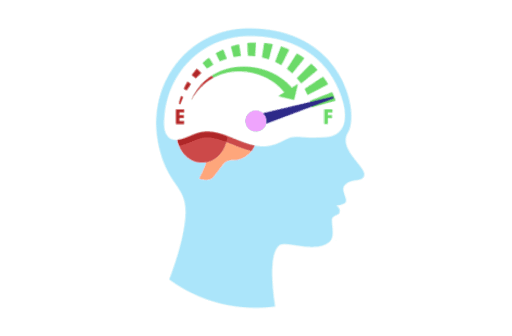 Building Your Cognitive Reserve: Insights from Our CSO